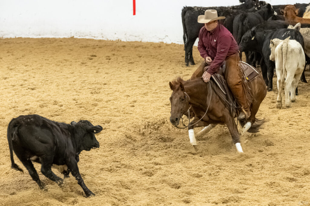 Cuts that bind: Cowboys, cows and cutting horses mix it up at the Fort ...
