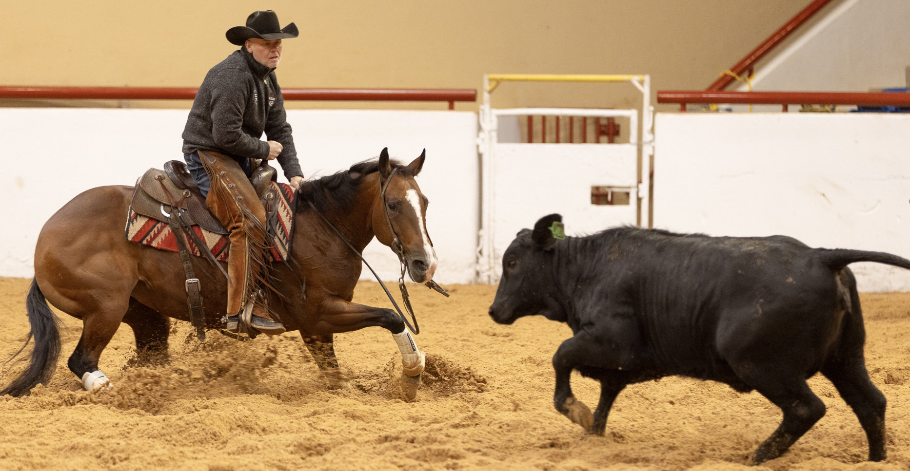 PRORODEO Tournament begins as FWSSR gallops into second weekend - The ...