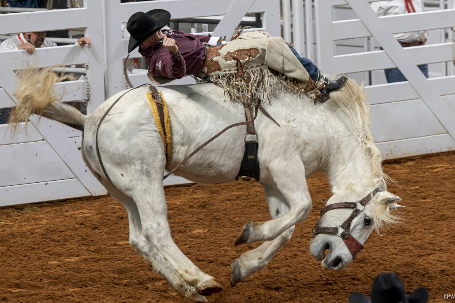 PRORODEO Tournament in full swing at FWSSR - The Business Press