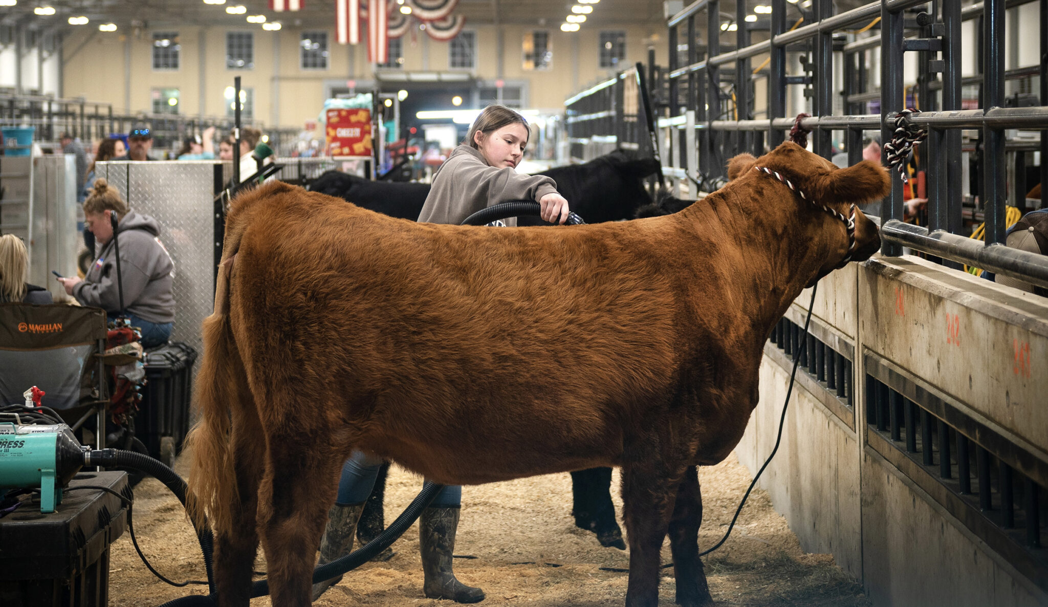 The legend is back: Fort Worth Stock Show & Rodeo runs through Feb. 3 ...
