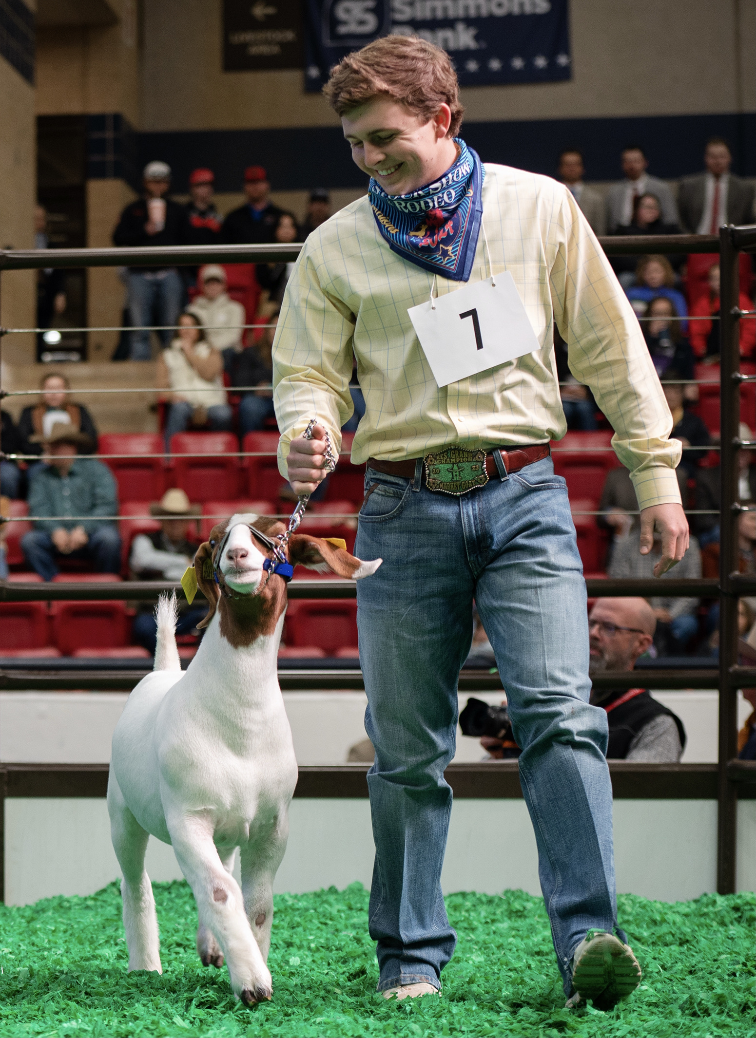 Sold! Grand Champion Steer brings $340,000 on final day of Fort Worth ...